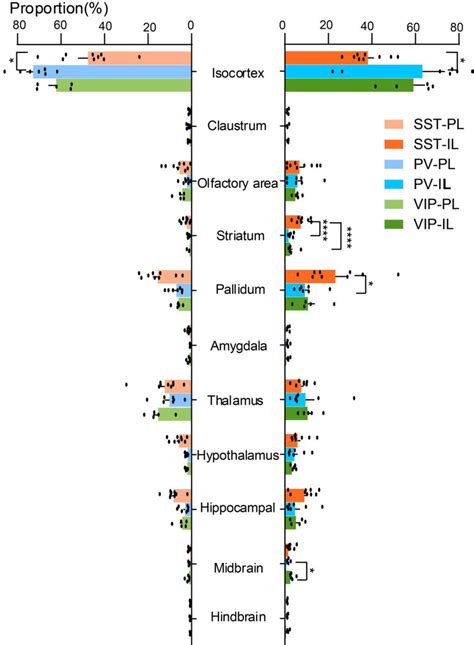 Quantitative Analysis Of Whole Brain Monosynaptic Inputs To Different Download Scientific