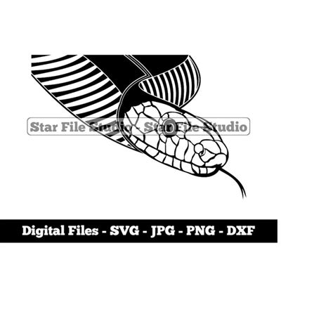 Snake Svg Reptile Svg Poison Svg Snake Png Snake Sn Inspire Uplift