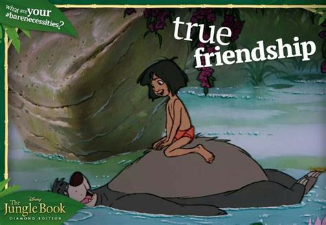 Pin By Mark Little On Baloo The Jungle Book 1967 In 2024 Jungle