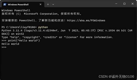 在win11上建立python环境（特详细，初学者可了解）python 3115 For Windowspython开发环境工具怎么