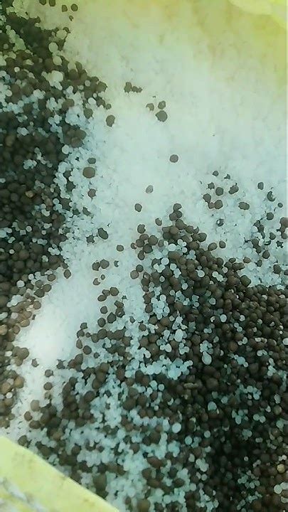 Uriya•khad🌾🤓 Youtube