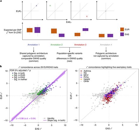 Improving The Trans Ancestry Portability Of Polygenic Risk Scores By Prioritizing Variants In