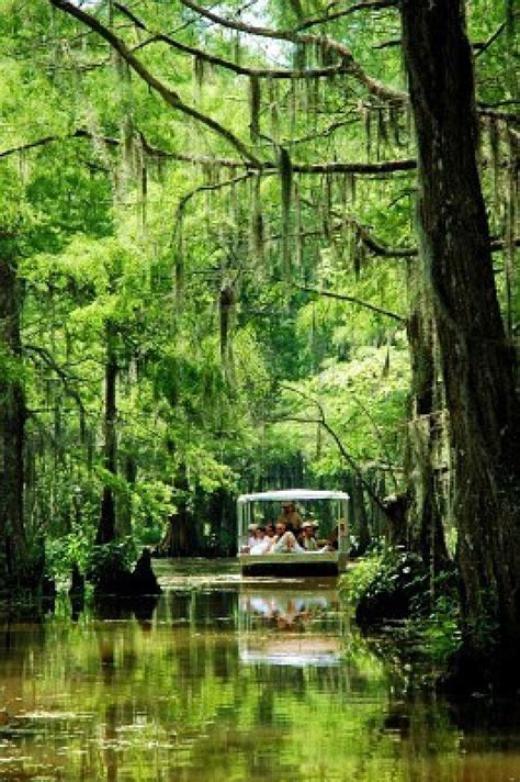 Swamp Tour On The Bayou Louisiana New Orleans Travel Louisiana