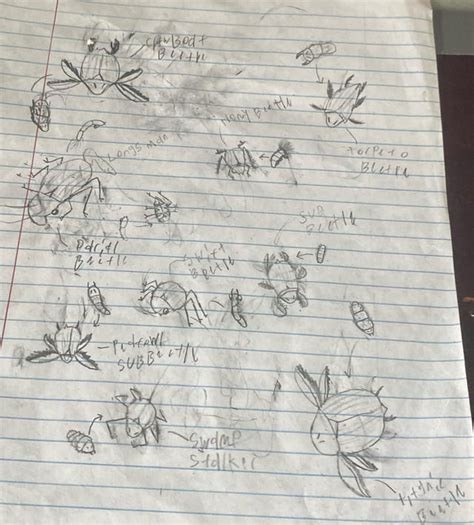 Exploring Of Echo R Speculativeevolution