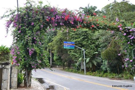 Tudo Sobre O Município De Pacoti Estado Do Ceara Cidades Do Meu Brasil