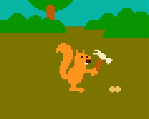 Squirrel And Nut  On Imgur