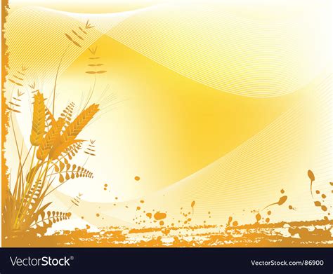 Corn Background Design