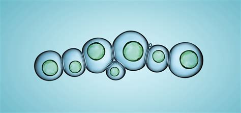 What Is Cellular Senescence And Its Impact On Health Solabia Nutrition