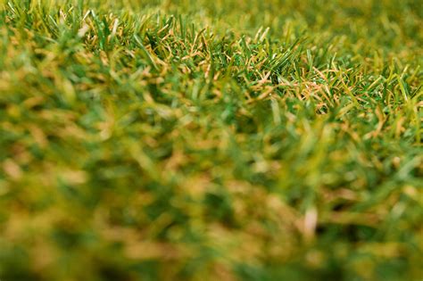 Eclipse 20mm Artificial Grass Grass Warehouse