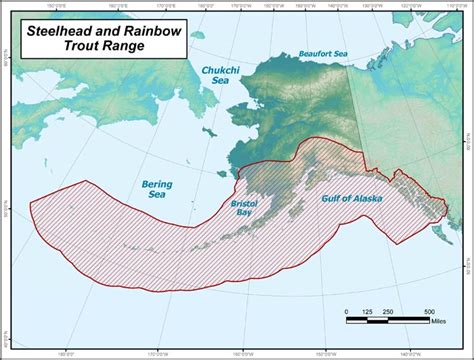 Rainbow Trout Habitat Map At Thomas Wilk Blog