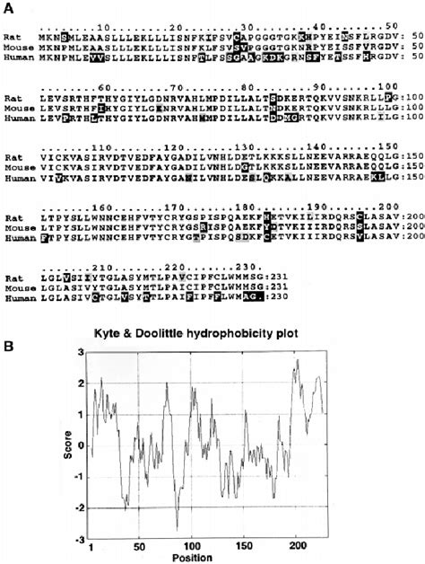 Deduced Amino Acid Sequences Of Mouse And Rat Liver Lrat A Amino
