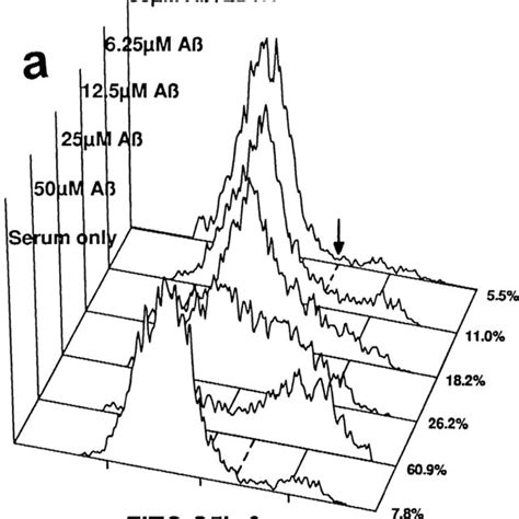 C5b 9 Generated By Aβ 142 Mediated Complement Activation Is