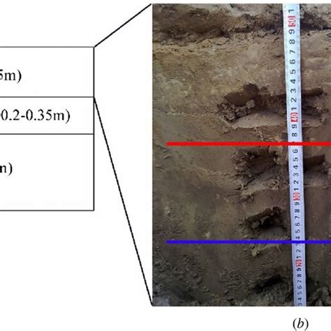 A The Layer Structure Of The Land Rearrangement And B The Profile