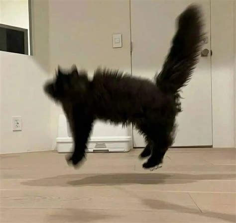 혐짤 글작성자 똥구멍 공개 자동차 에펨코리아