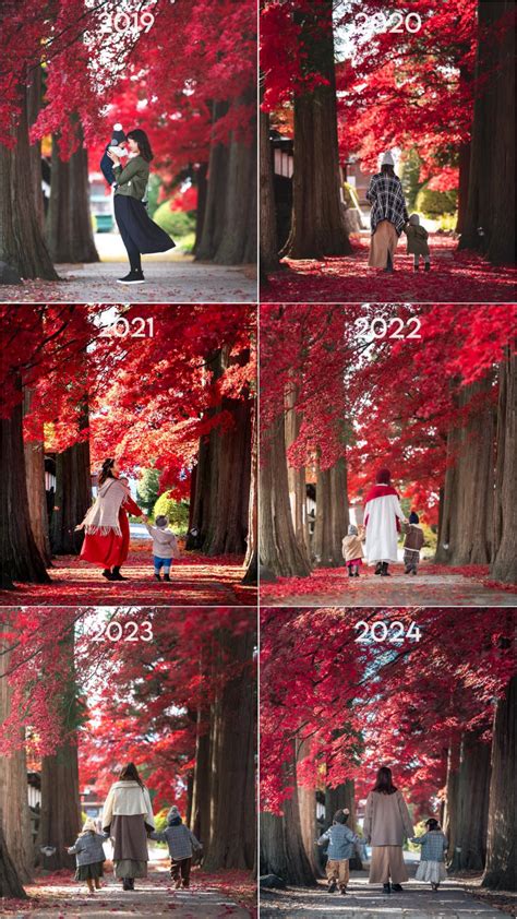 6년간 같은 장소에서 찍은 사진들