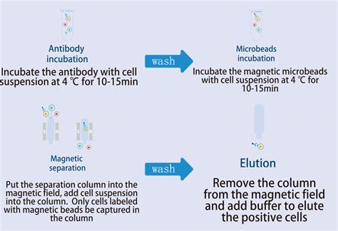 Cell Separation Kit Column Based Archives Page 2 Of 2 Rwd Life