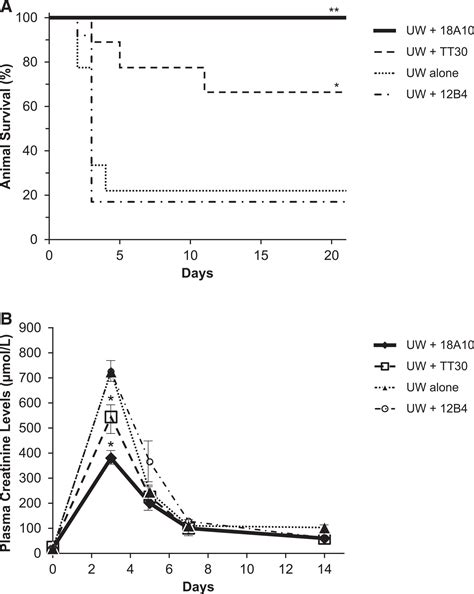Targeting Complement Pathways During Cold Ischemia And Reperfusion