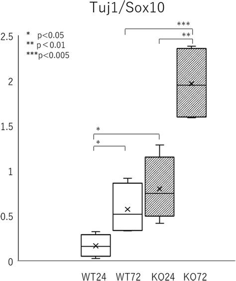 Threshold Area Of Tuj1 Expression Sox10 Expression Tuj1 Sox10 In Download Scientific Diagram