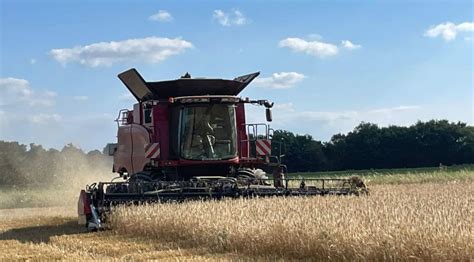 Moisson 2025 Dans Le Sud Ouest Leau Au Cœur Des Rendements