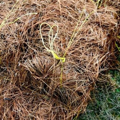 Mulch Pine Needle Bale Ted Lare Design And Build
