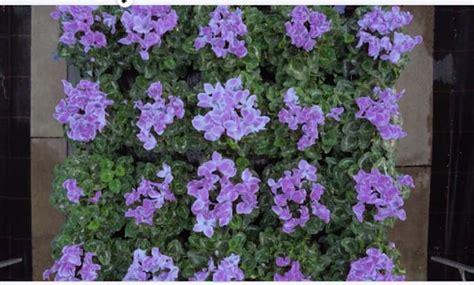 Do Bounding Box Polygon Image Annotation For Ai By Suraiya26 Fiverr