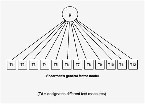 Iqs Corner Psychometric Taxonomic Models Of Intelligence A Visual