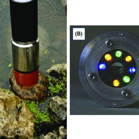 2 Structure Of Chlorophyll A Showing The Central Core Of Magnesium