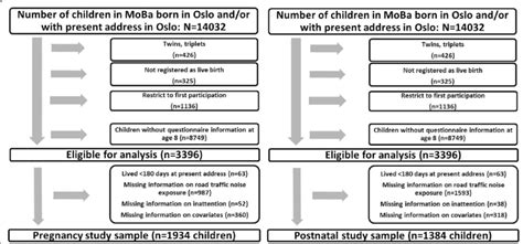 Flow Chart Of The Postnatal Left And Pregnancy Right Study Sample Download Scientific