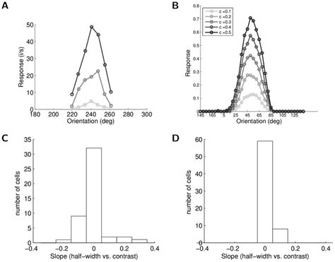 Contrast Invariant Orientation Tuning A Contrast Invariance Of
