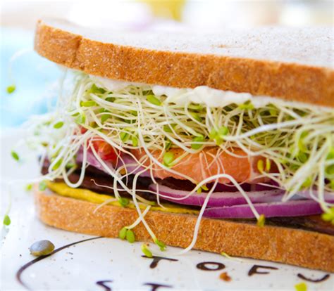 Sprout Lovers Sandwich Vegan Lunch Vegan Recipe