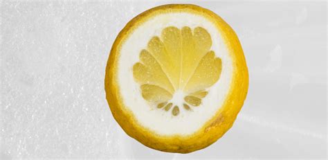 Michael Ceron Der Zitratmagnat