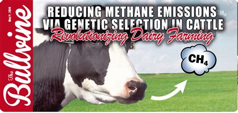 Discover How Genetic Selection In Dairy Cattle Can Revolutionize