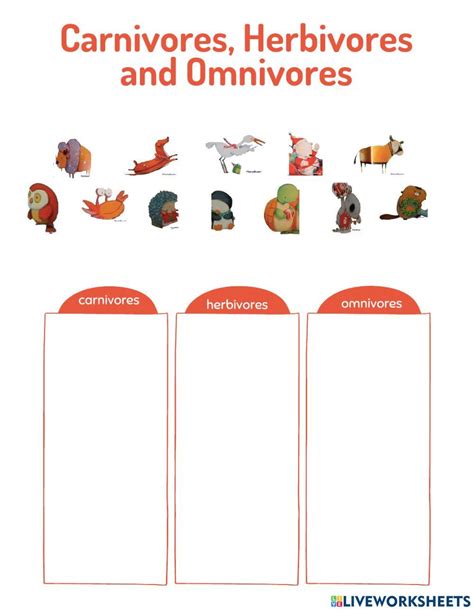 Classify Animals Activity Live Worksheets