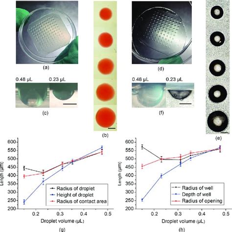 Cellular Spheroid Formation In Hydrogel Concave Wells A