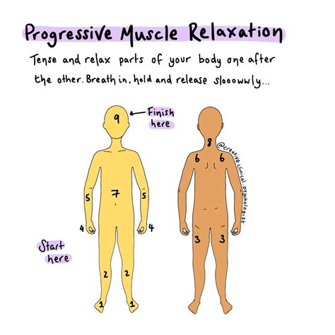 3x Corresponding How To Guide Illustrations Progressive Muscle
