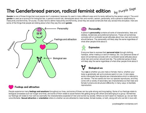 The Genderbread Person Radical Feminist Edition Purple Sage