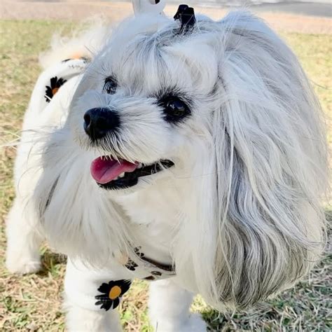 まるぉ Marumaruo • Threads Say More まるぉ Marumaruo • Threads Say More