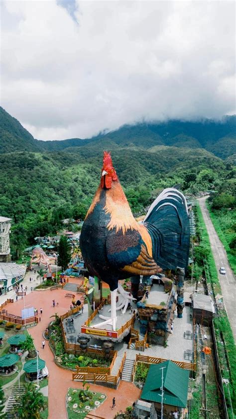 A Giant Chicken Hotel Secures Guinness World Record But What Does It