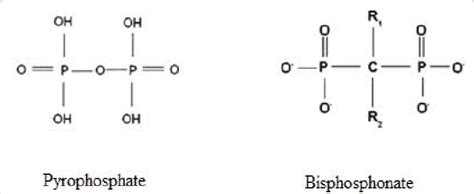 Pyrophosphate And Basic Bisphosphonate Structures Adapted From