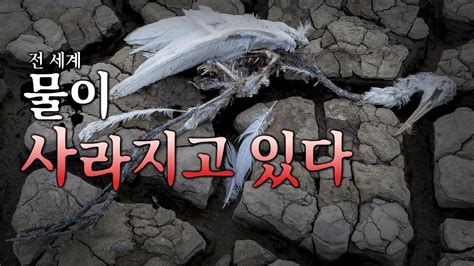 전 세계에 퍼진 최악의 가뭄 이제 시작이다[신박한 벙커] Eng Sub Youtube