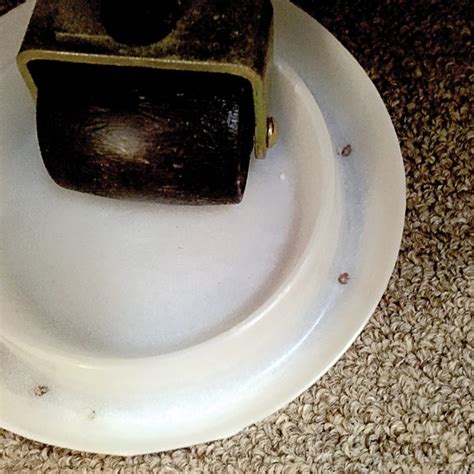 Encountering Bed Bugs While Traveling Northeastern Ipm Center