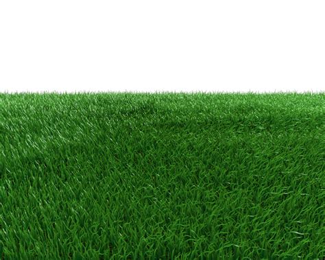 Grass Field Png By Dabbex30 On Deviantart