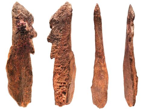 Digs And Discoveries The Bone Toolkit Archaeology Magazine July