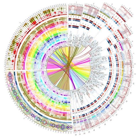 Your Top 3 Circos Plot Generation Tools Omictools Blog R Bioinformatics
