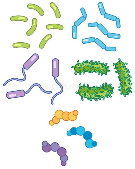 A Set Of Bacteria Stock Vector Illustration Of Medical 121061971