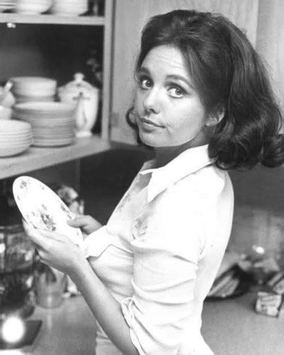 ‘dawn Wells Sexy Gilligans Island Actress ‘domesticated 8x10 Glossy