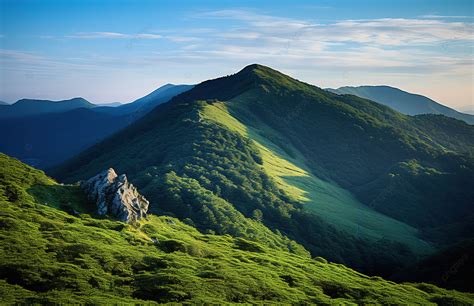 나무가 있는 푸른 산 거북선대교 건축물 교통수단 배경 일러스트 및 사진 무료 다운로드 Pngtree