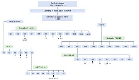 Extraction And Fractionation Scheme Of Roots And Root Extract From