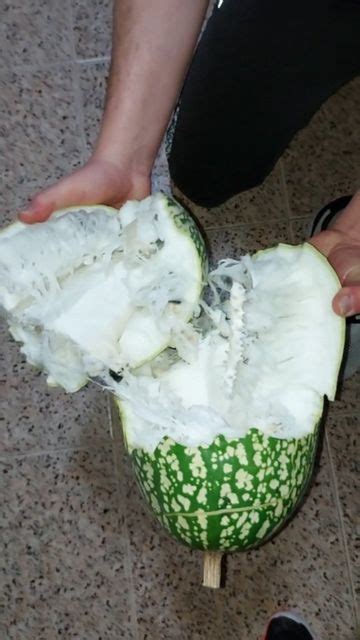 Paulo Rocha On Instagram Doce De Chila Caseiro Receita Docedechila Abobora Doce