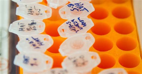 Owasp Approach Penetration Testing For Web Applications